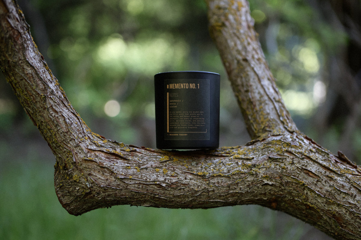 MEMENTO Collection – Modern Theory Co.